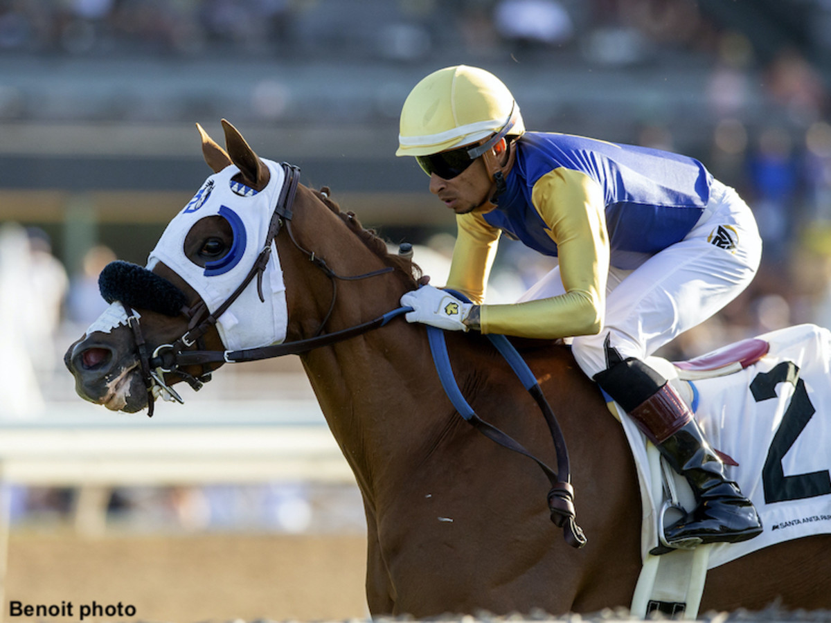 Hong Kong Harry Ready To Light Up Tote Board In Del Mar Mile - Paulick ...
