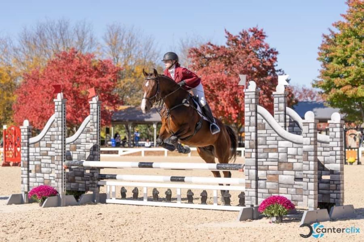 For 15-Year-Old Competitor, Thoroughbred Makeover Is The Start Of ...