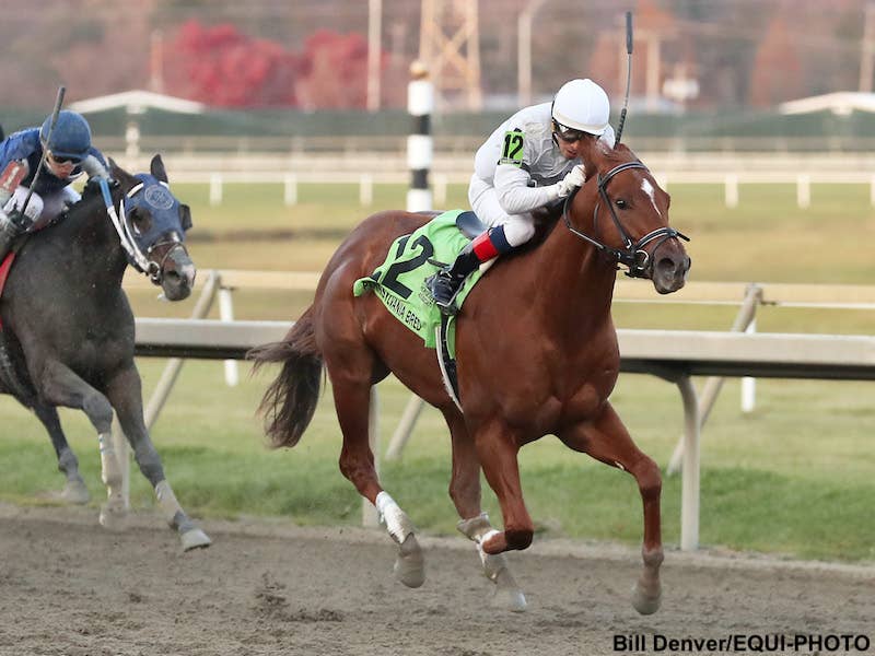 Winning Time Holds Off 81-1 Longshot In Pennsylvania Nursery - Paulick ...