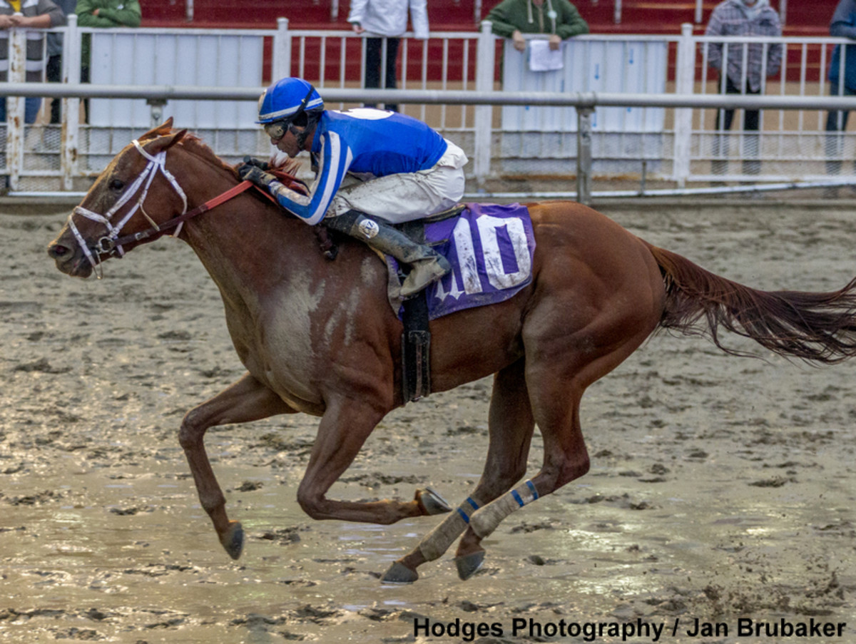 Louisiana Champions Day Features Eight Stakes Worth 850 000 Paulick