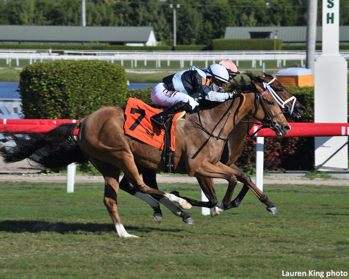 Always Shopping Defends Via Borghese Title; Miss J McKay Best In ...