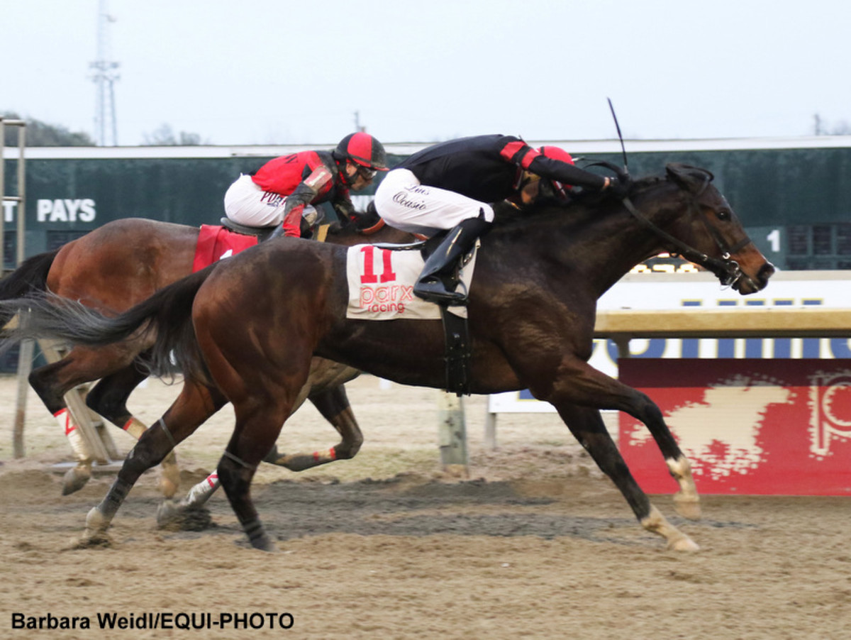 Hollywood Jet 'Loves To Fight,' Brings Seven-Race Win Streak Into ...