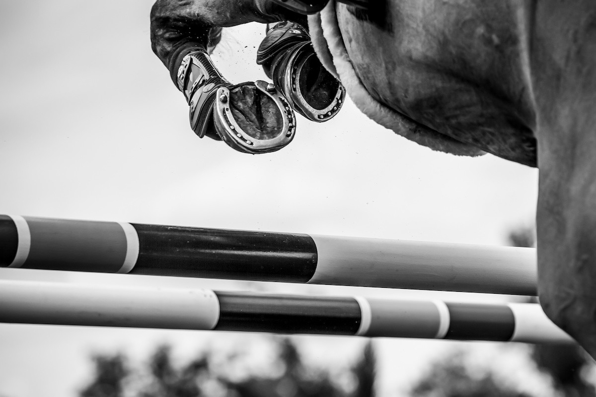 'Not To Be Used For Discipline': British Showjumping Announces Stricter ...