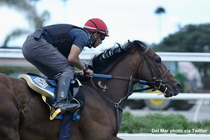 Kirkpatrick & Co Presents In Their Care: Flightline, Exercise Rider ...