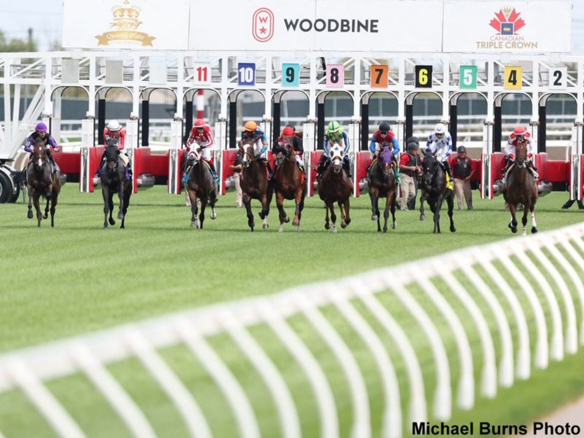 Woodbine Thoroughbred Meet Generates Largest All-Sources Handle In ...