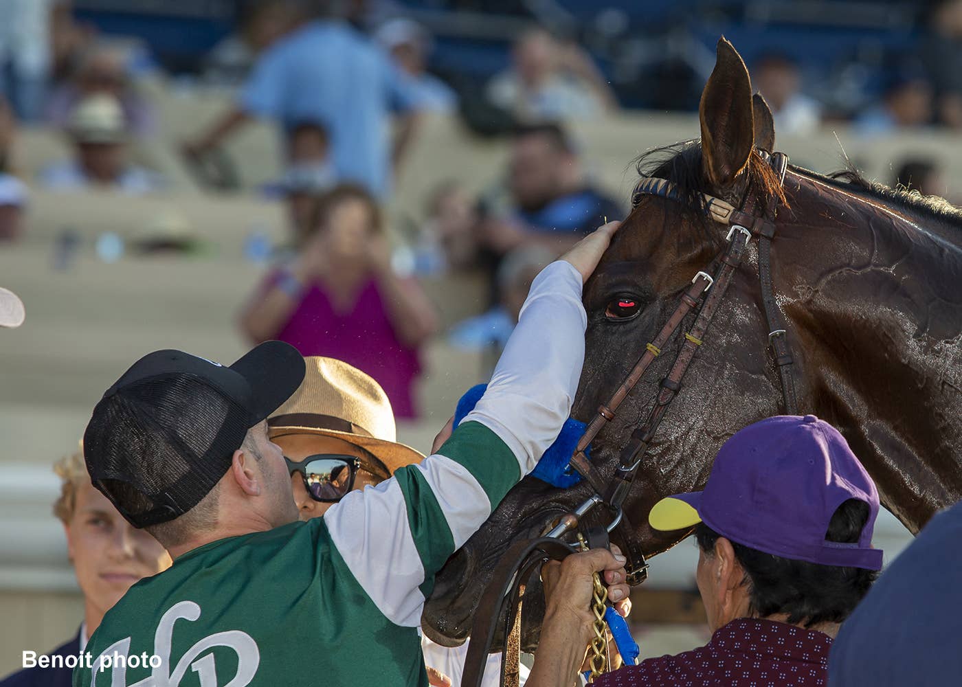 Hronis: 'Great Possibility' Flightline Will Race Next Year As A 5-Year ...