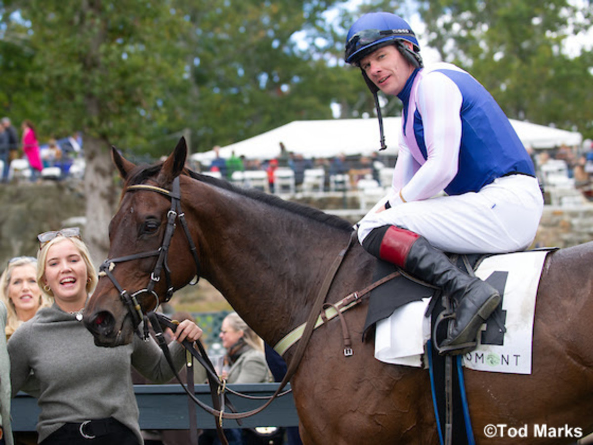 NSA: Venerable Champion, Burgeoning Star Top Features At Virginia Fall ...