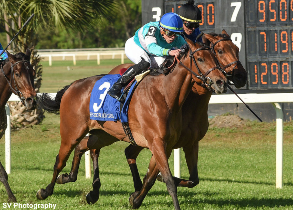 Kathryn Crosby: Nine Line Up For Stern Turf Test At Del Mar - Paulick ...