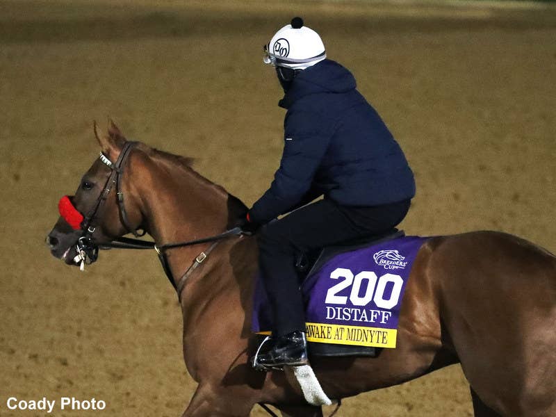 Breeders' Cup Distaff Notes: Secret Oath 'Sharp As A Tack' After ...