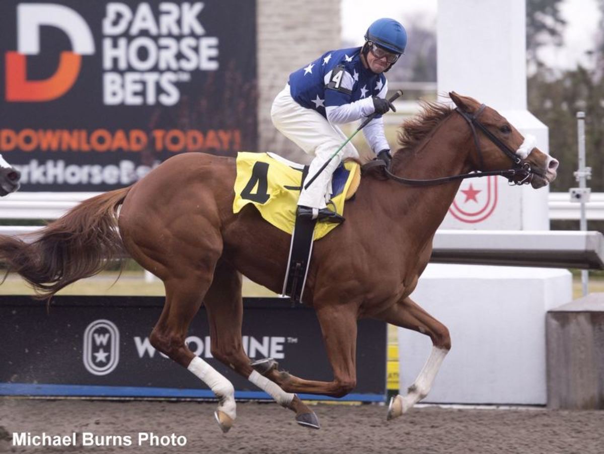 'Knowing How Far This Horse Has Come' Leads To Picture-Perfect First ...