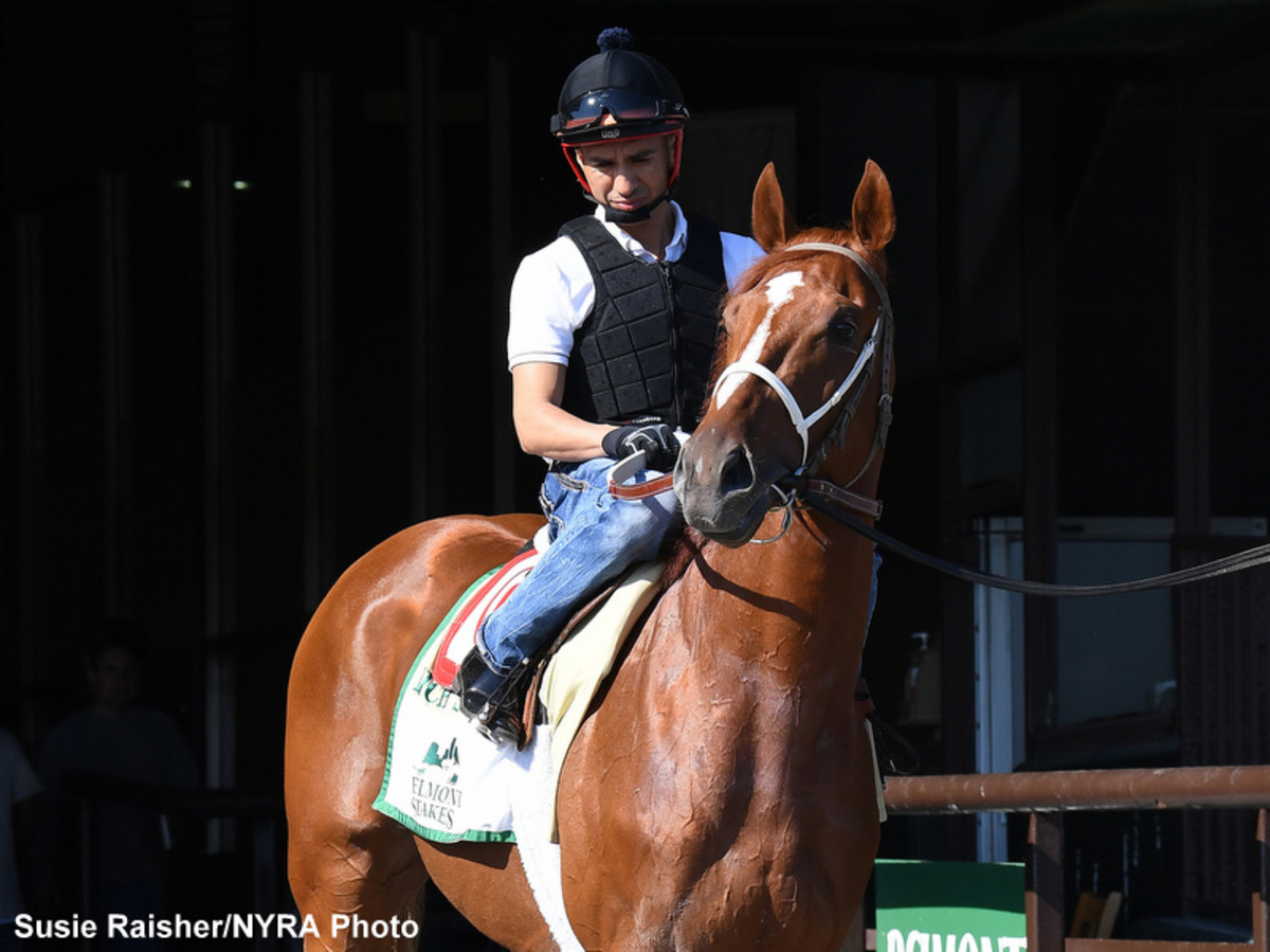 Kentucky Derby Winner Rich Strike Faces Trio Of Grade 1 Winners In ...