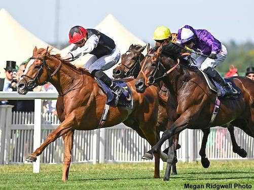 Bloodlines Presented By Walmac Farm: Kyprios And His Impossible Dam ...