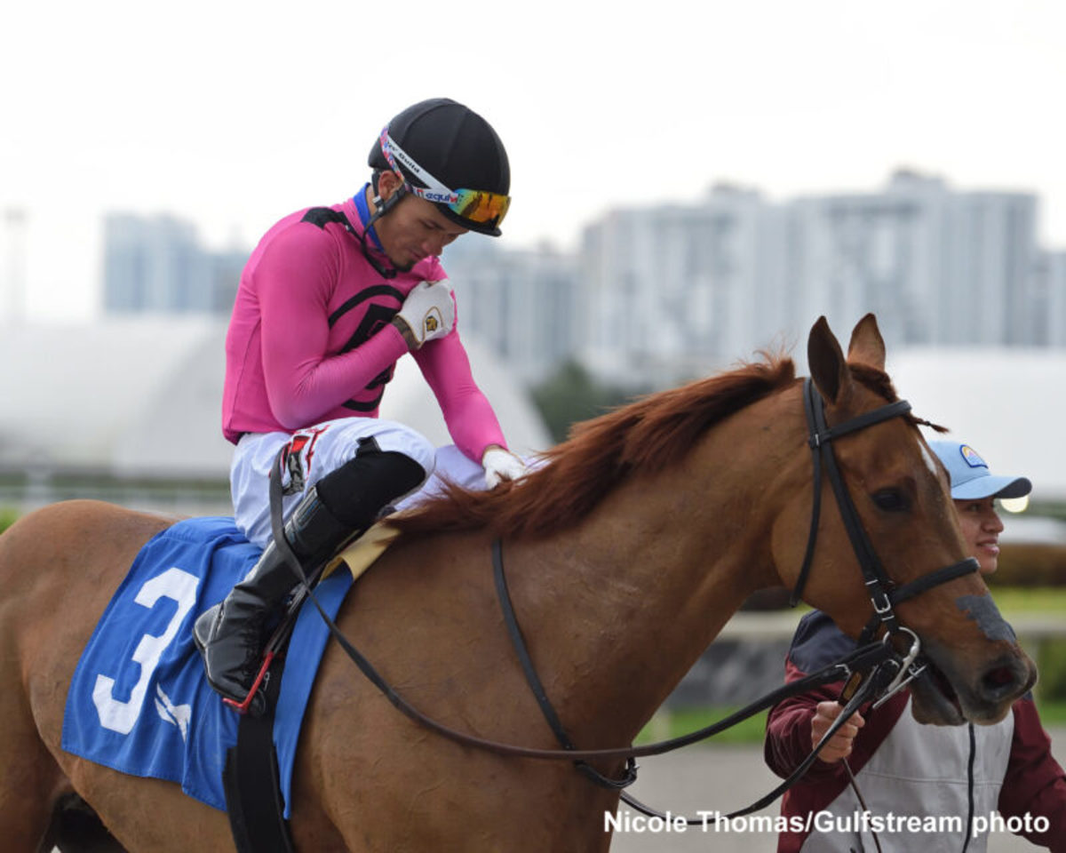 Golden Glider Takes Tropical Park Derby In First Start Off Layoff ...