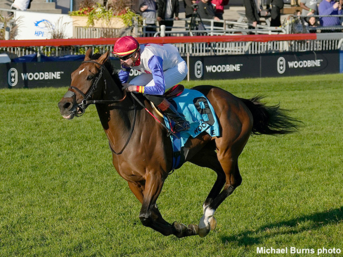 Classic Winner Sir For Sure Tops Ontario Sired Reward Of Excellence ...