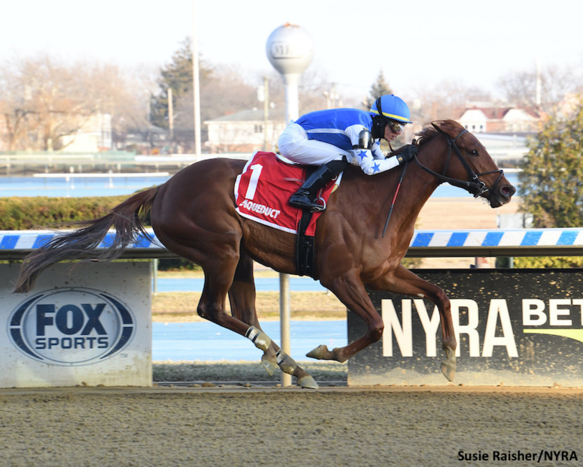 Graded-Placed Magic Circle Aims For Oaks Points In Busher - Paulick ...