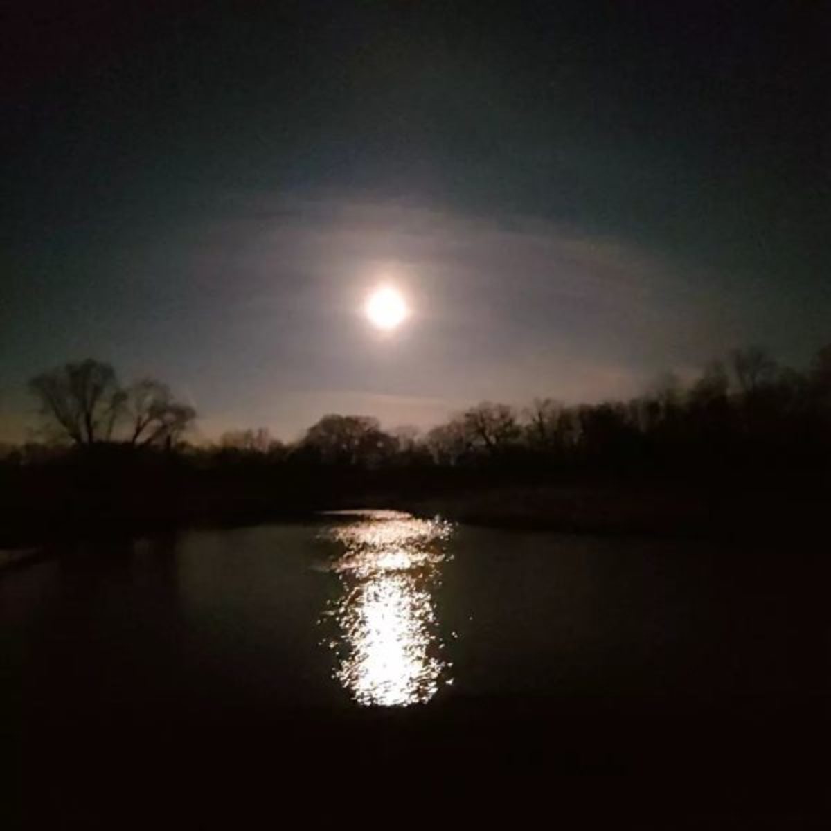 By The Light Of The Moon: Do Lunar Phases Affect Foal Gender? - Paulick ...