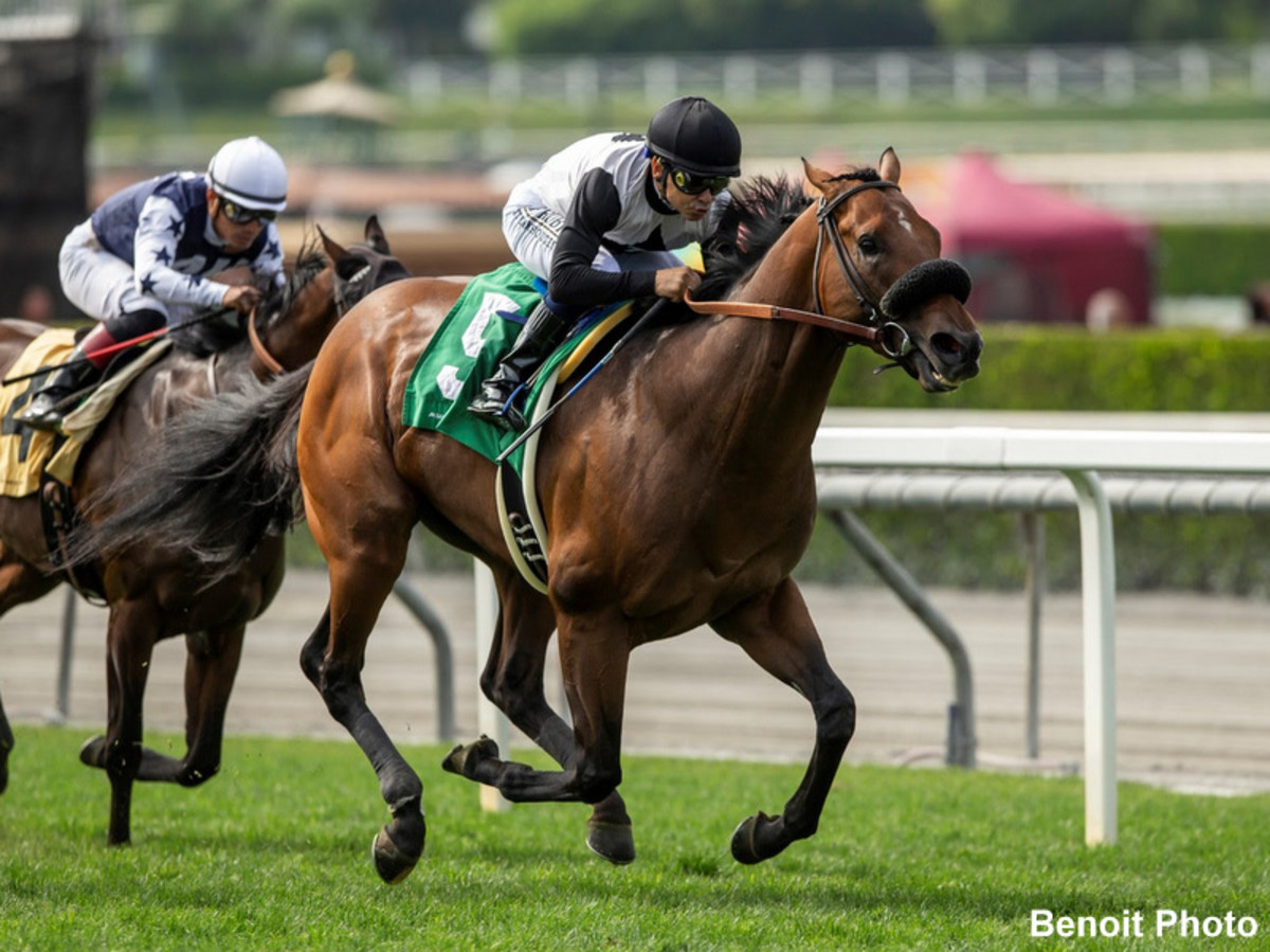 War At Sea Heads Wide-Open Field Of Nine In Twilight Derby - Paulick ...