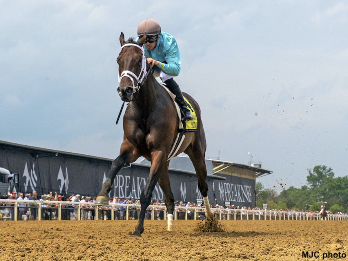 Super Quick Runs Allaire Du Pont Distaff Rivals Off Their Feet ...