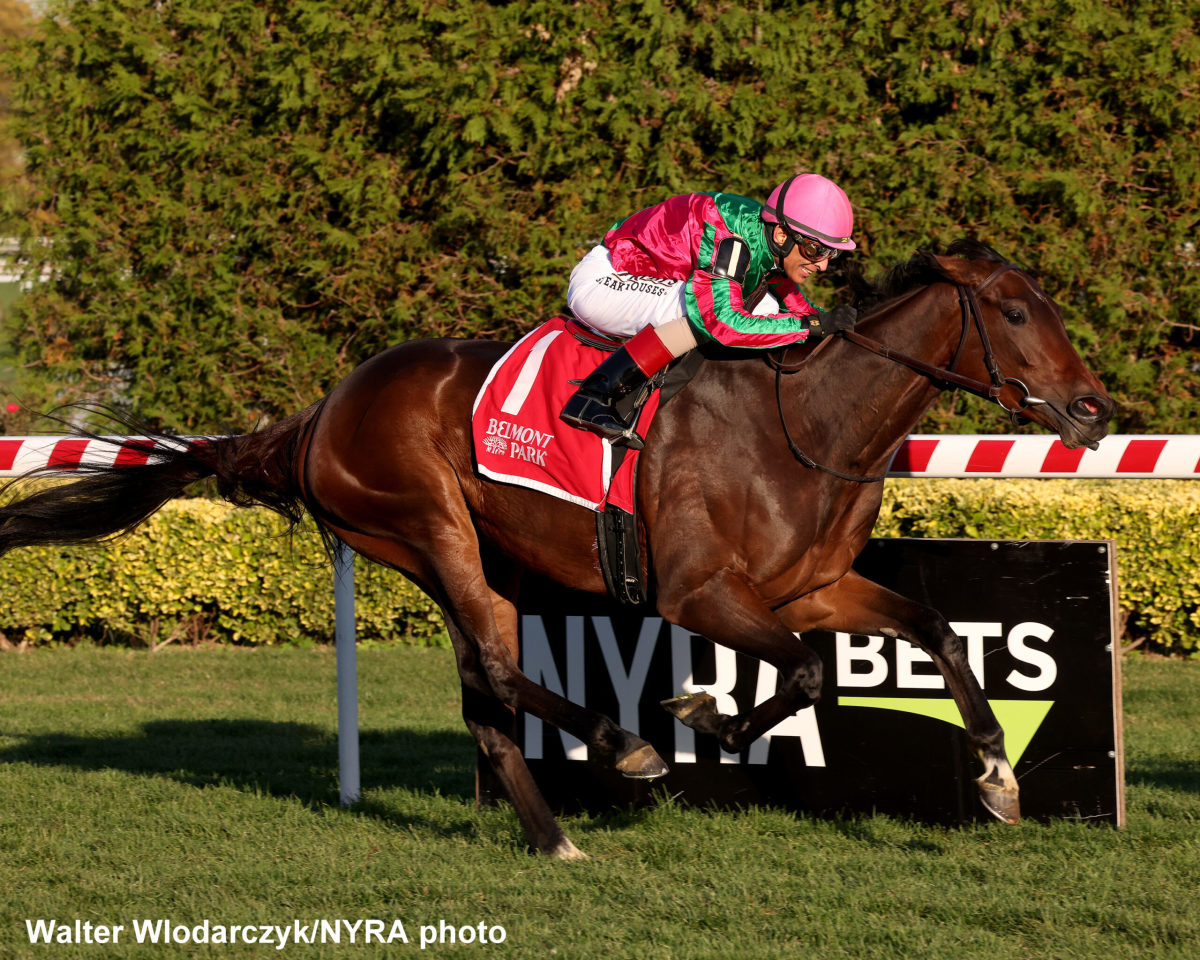 Frequent Flier: John Velazquez Named Jockey Of The Week After Graded ...