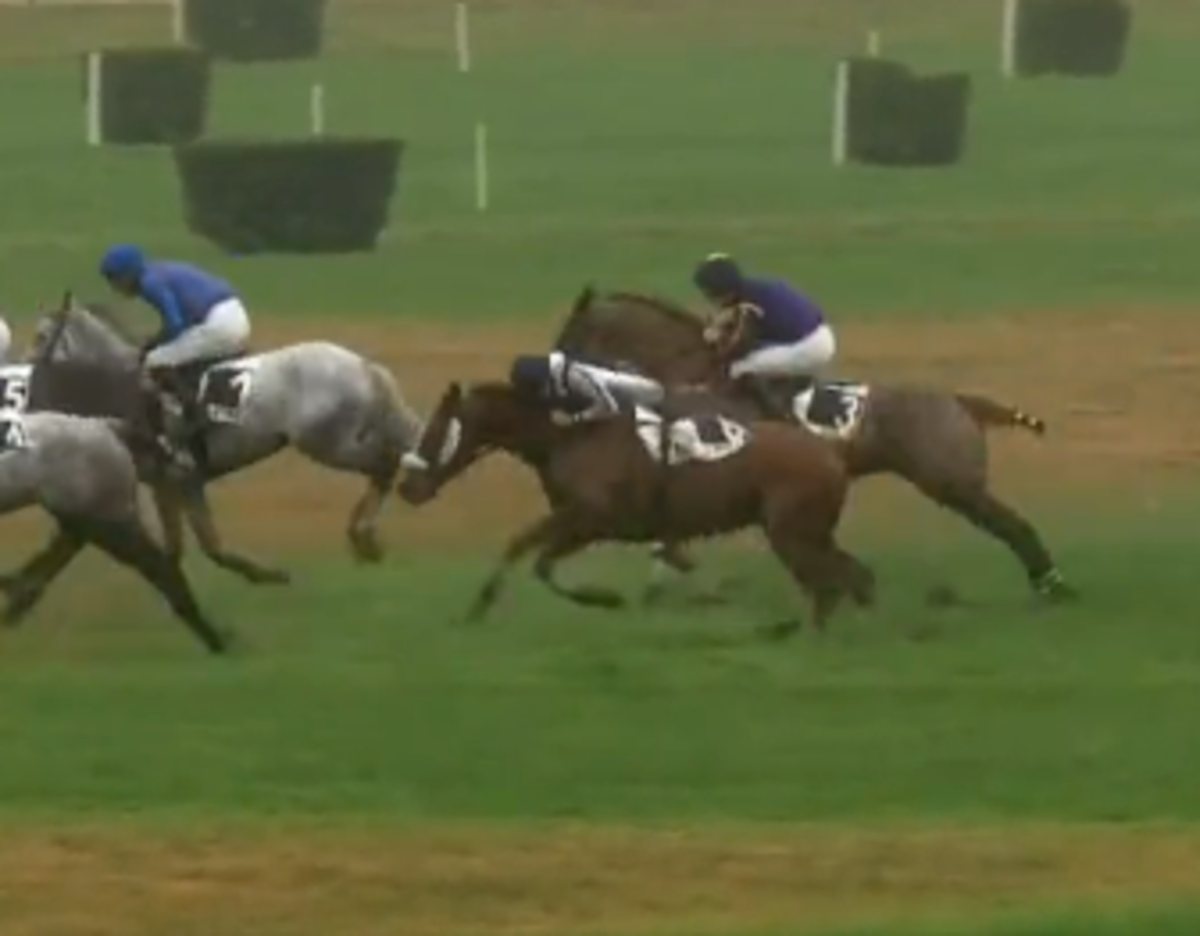 'Worth Persevering': Jockey Overcomes Lost Stirrups, Saddle To Finish ...