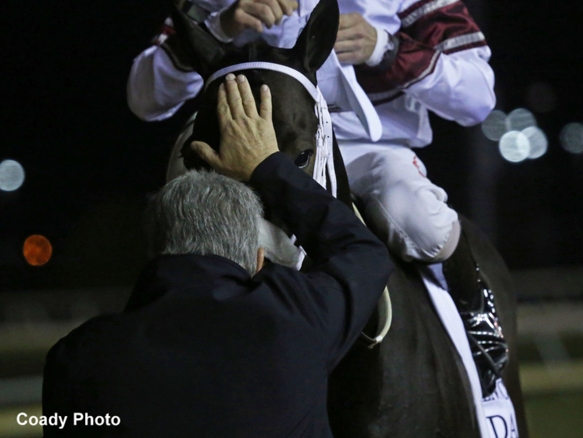 World Champion Quarter Horse Danjer Lives Up To Hype At Horseshoe ...