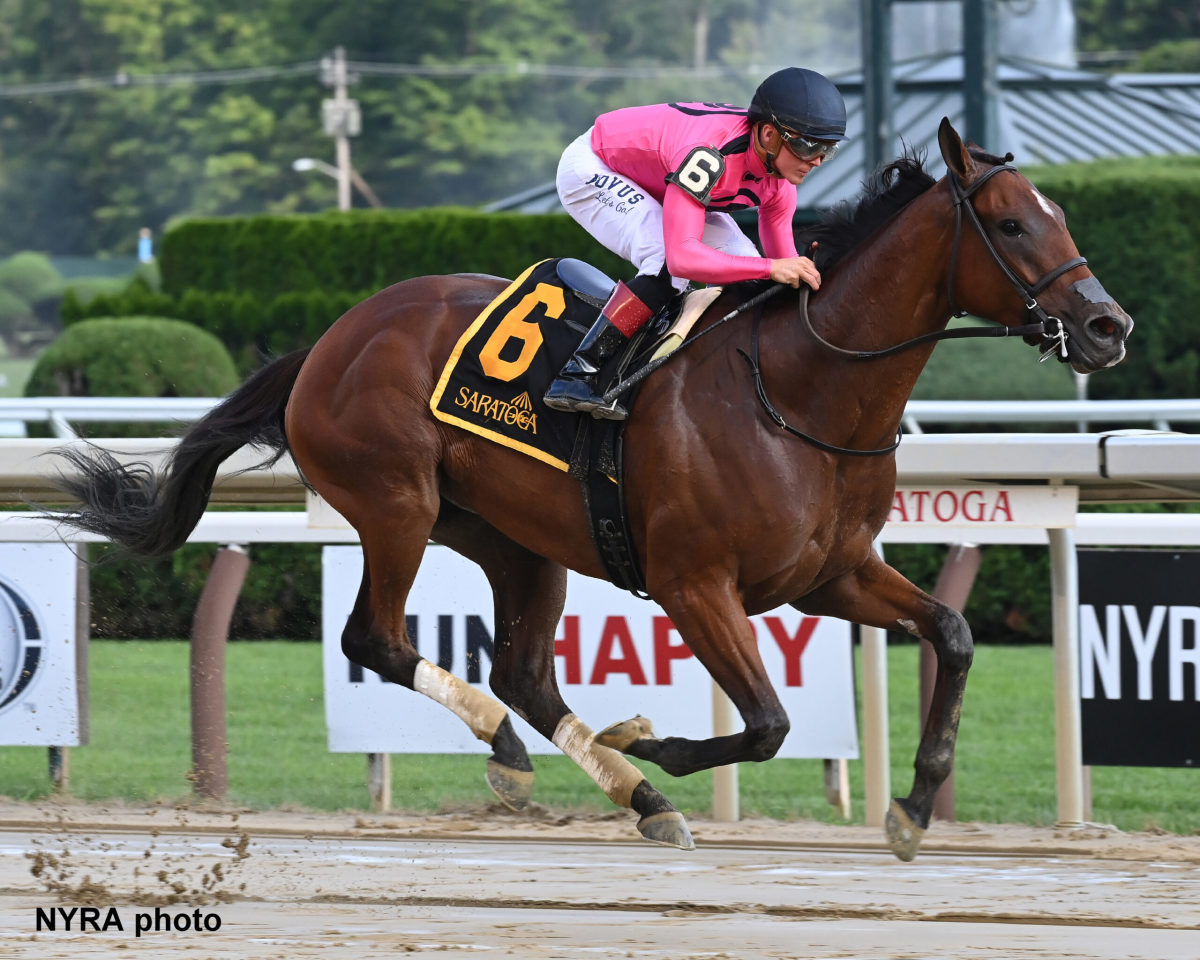 'Into Mischiefs Can Do Anything': Make Mischief Set For First Turf Test ...