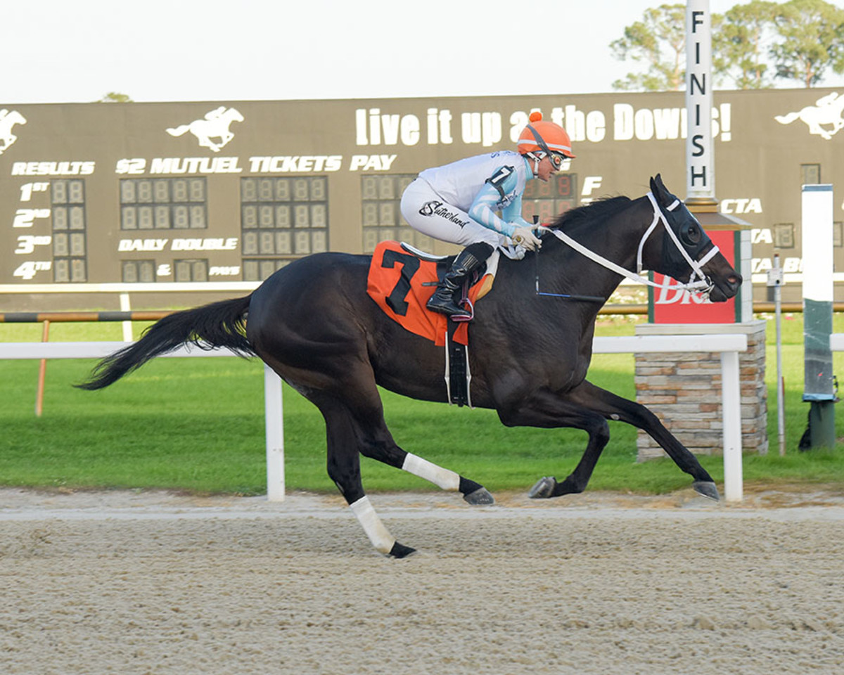 Dorth Vader Sets Stakes Record In Sandpiper, Super Chow Impresses In ...