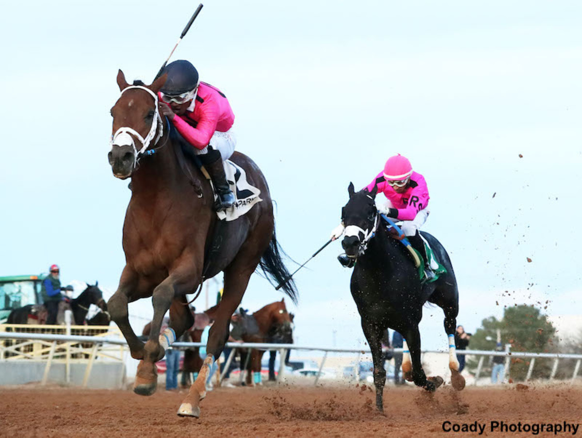 Perfect Flight Upsets Peter Miller Barnmate In Zia Park Derby - Paulick ...