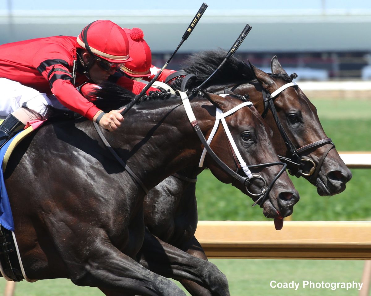 'Derby Talent,' Sprinter's Air Have Call Me Midnight Chasing New Niche ...