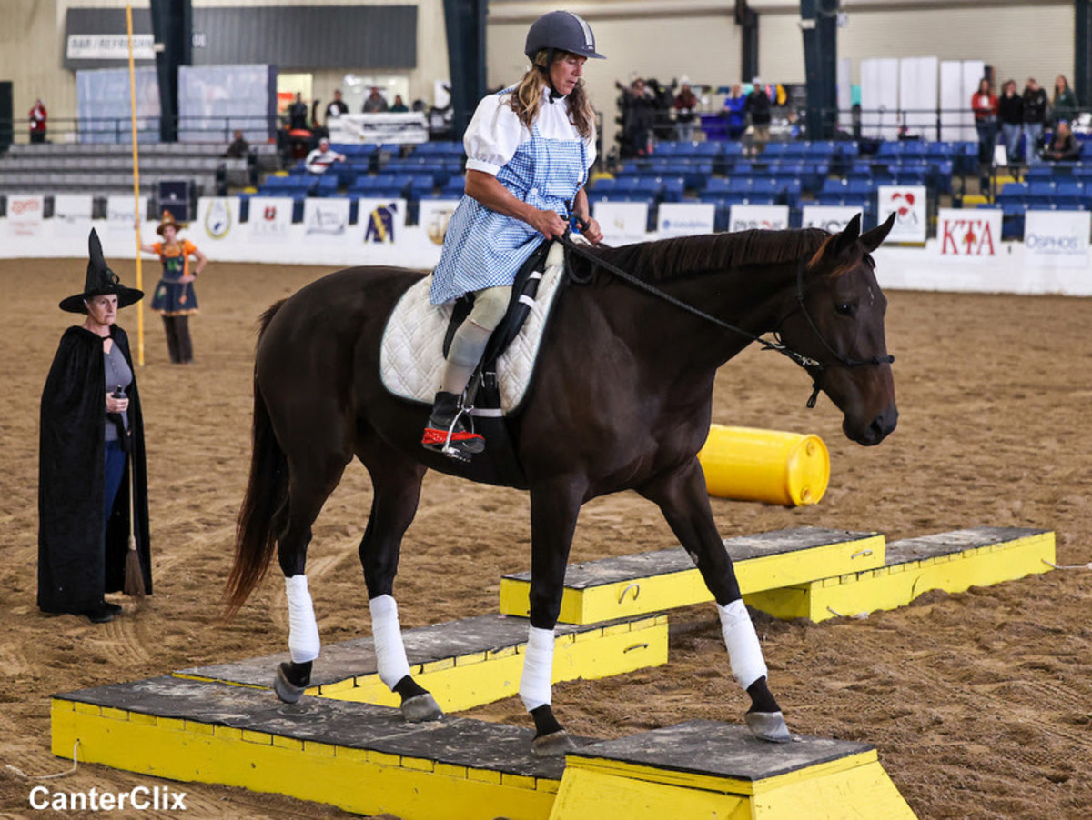 2022 Thoroughbred Makeover: Meet The Preliminary Competition Winners ...