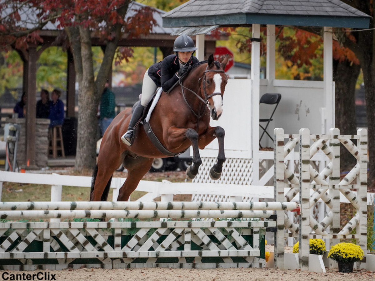 2022 Thoroughbred Makeover: Meet The Preliminary Competition Winners ...