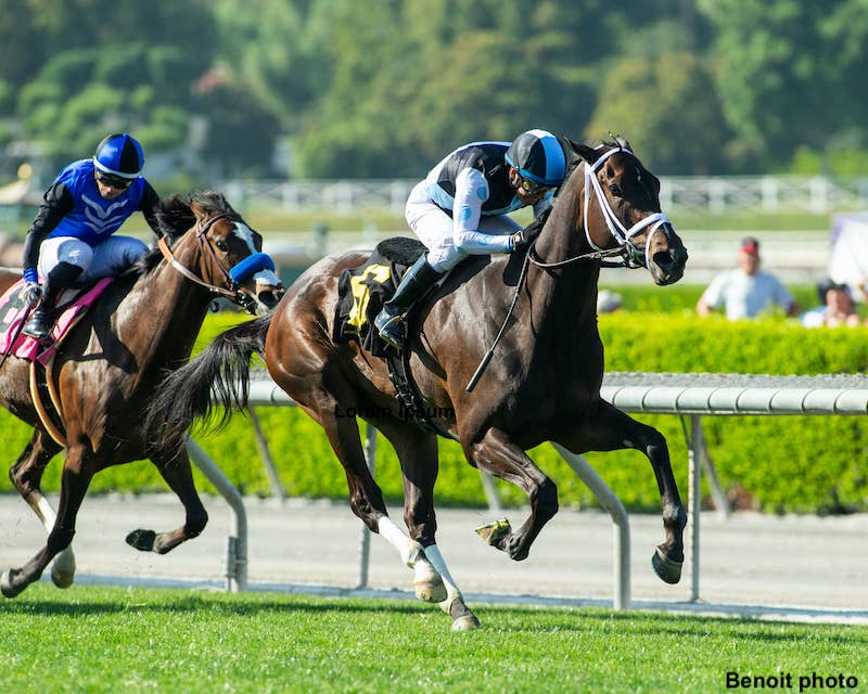 Robert J Frankel Horses