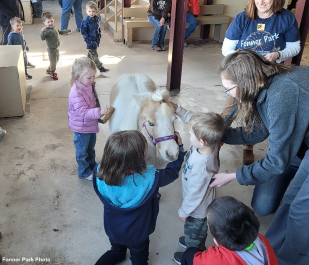 Fonner Files: Big Fields And Little Horses - Paulick Report | Latest ...