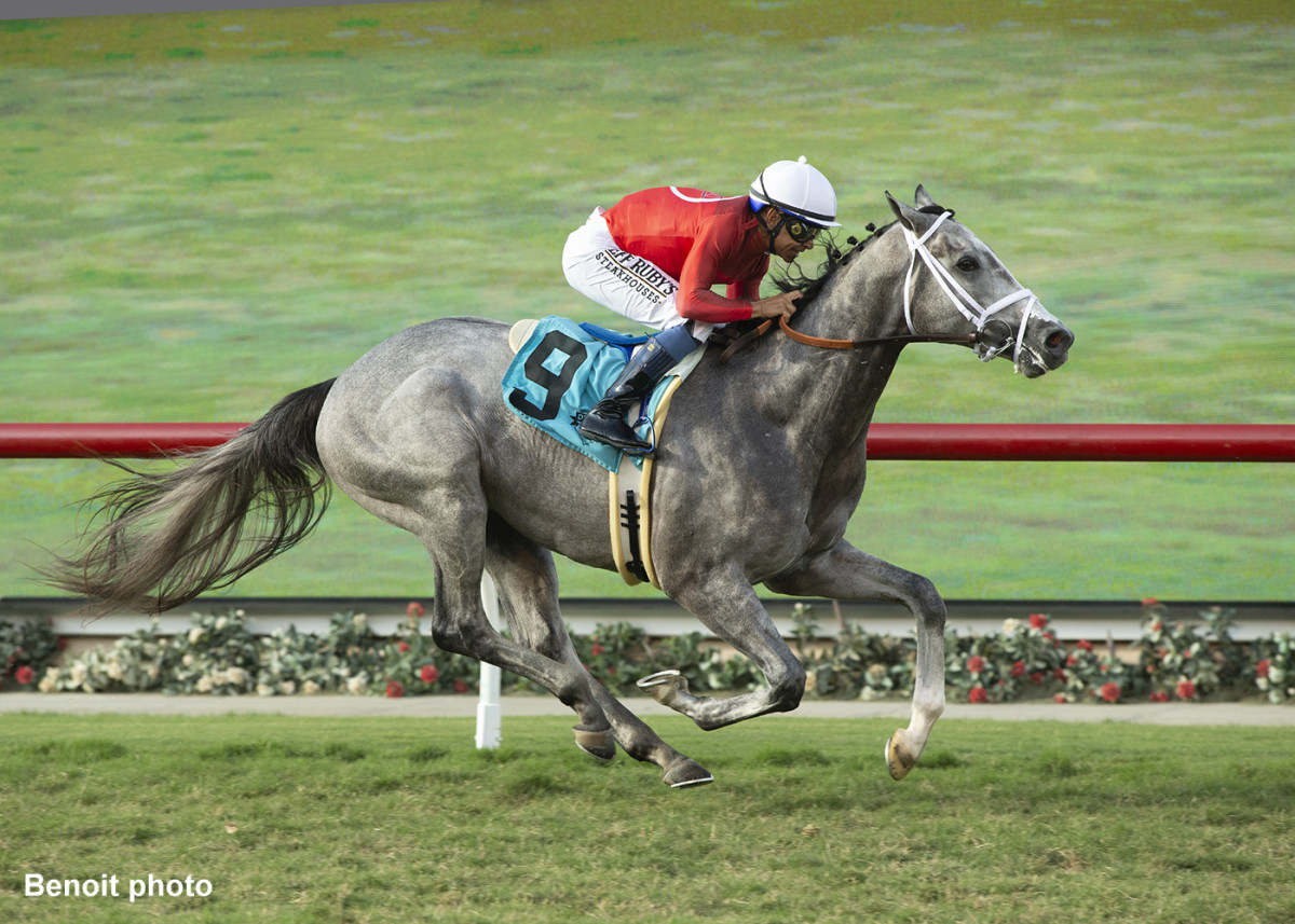 'He Had Plenty Left': Packs A Wahlop Powers To Convincing Win In Del ...