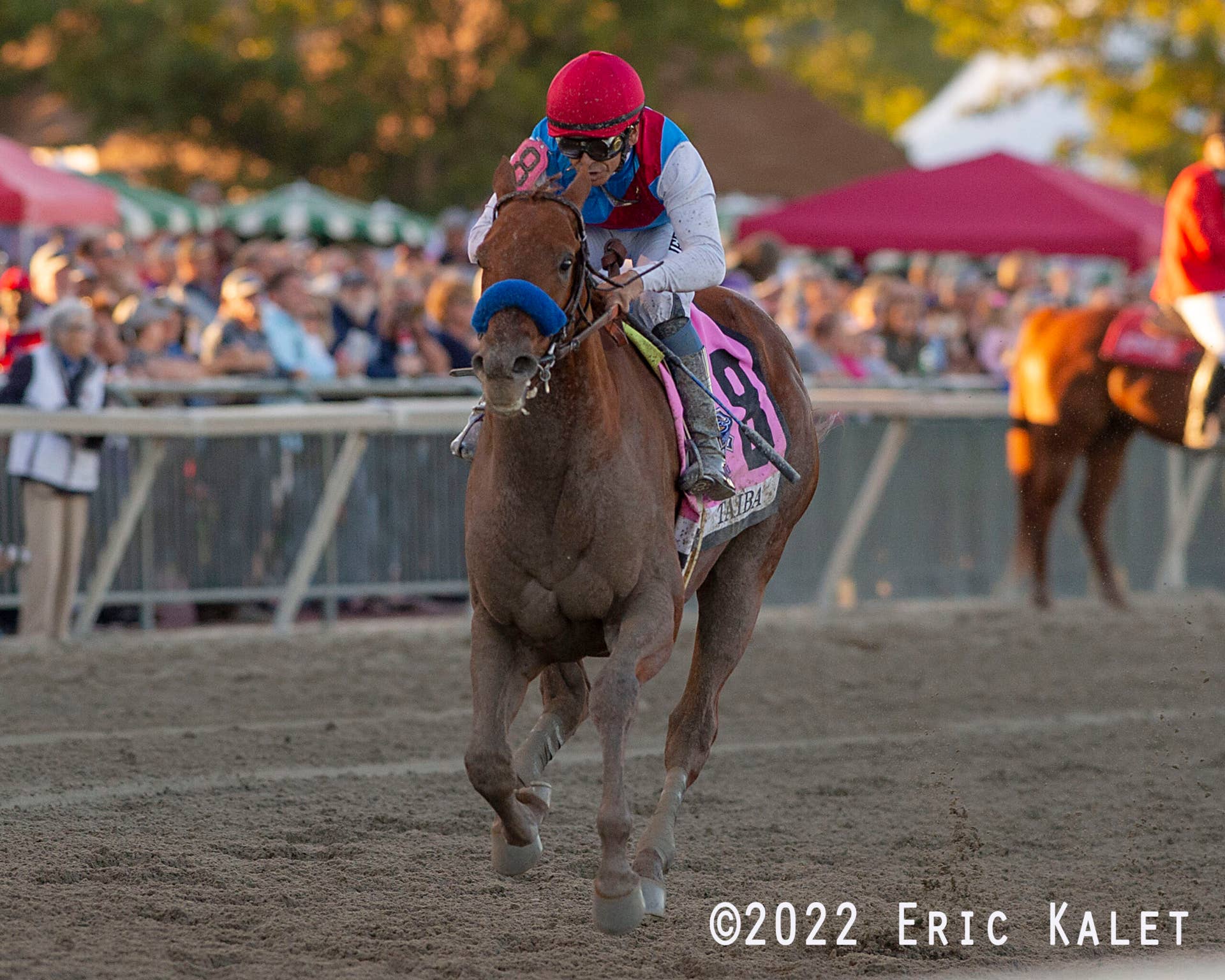 Favorite Taiba Wins Pennsylvania Derby, Caps Grade 1 Double On Parx ...
