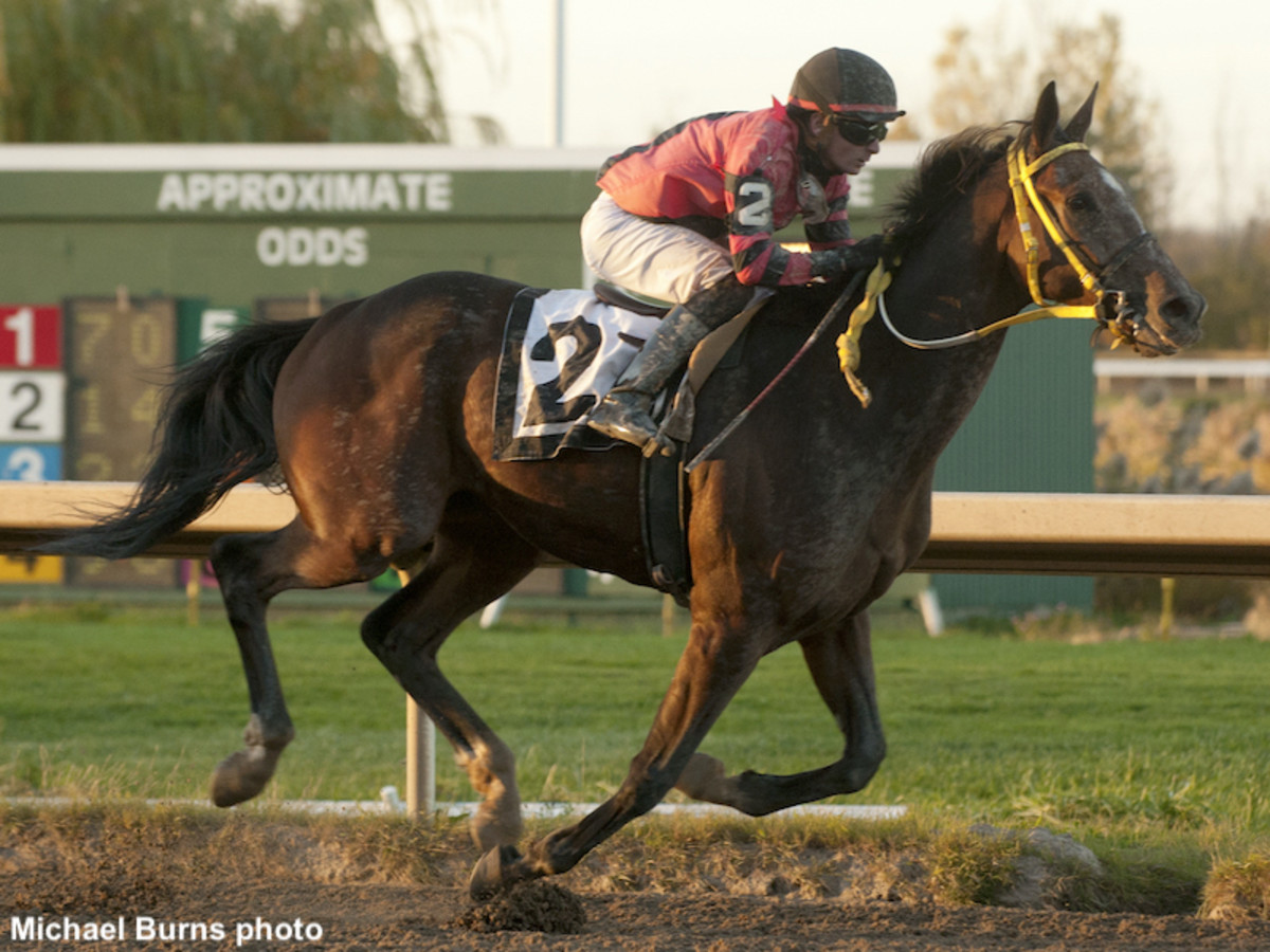'Familiar Faces' Back At Fort Erie; Meet Ends With 16 Percent Increase In Wagering - Paulick ...