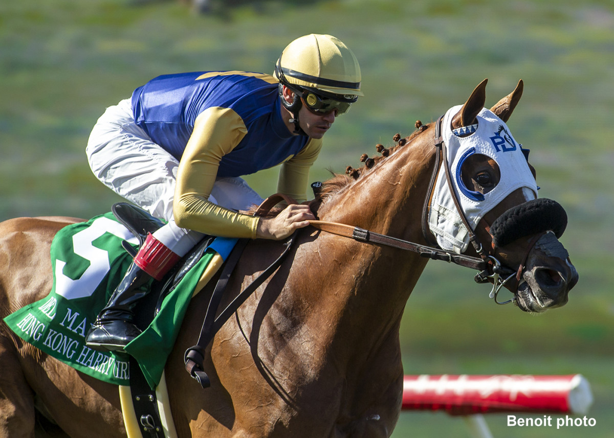 KHRC: D'Amato Trainee Disqualified From Grade 1 Turf Classic Placing ...