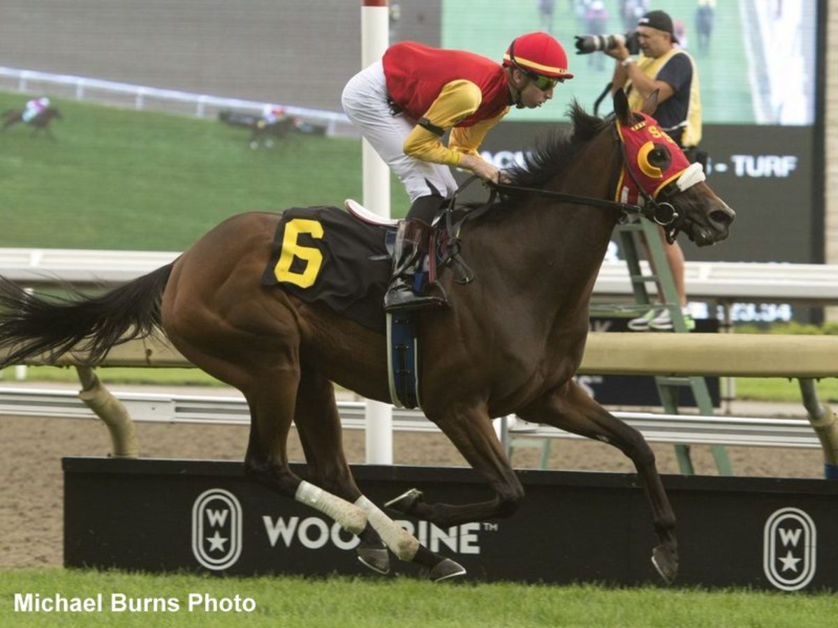 Whimsical Dance, Swoop To Finish Give Gail Cox Two Good Chances As ...