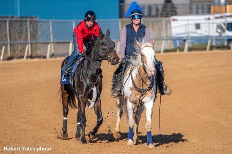 Trainer Moysey Gearing Up for Oaklawn’s 2022-2023 Meet - Paulick Report ...