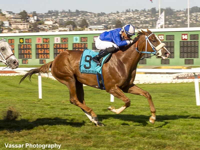 I'mgonnabesomebody Goes Wire To Wire In Inaugural Sam Spear Memorial ...