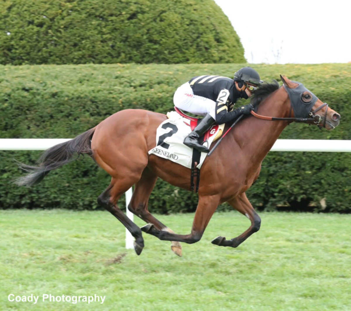 Dominant Allowance Winner Running Bee One Of Two Brown-Trained ...