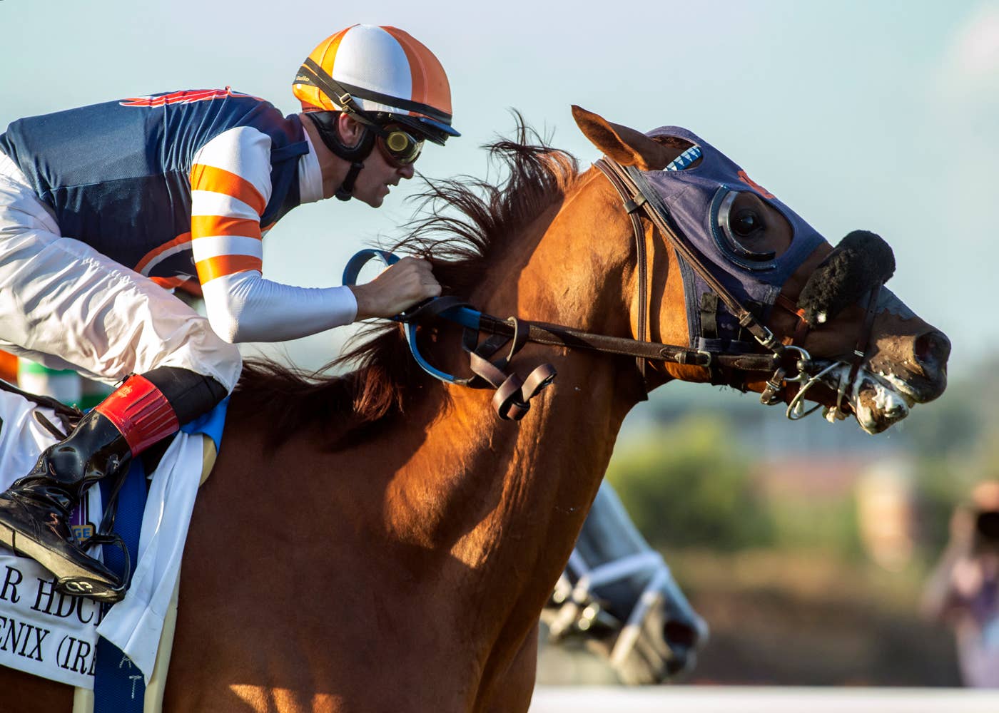Versatile Gold Phoenix Tops Field Of Six For John Henry Turf ...