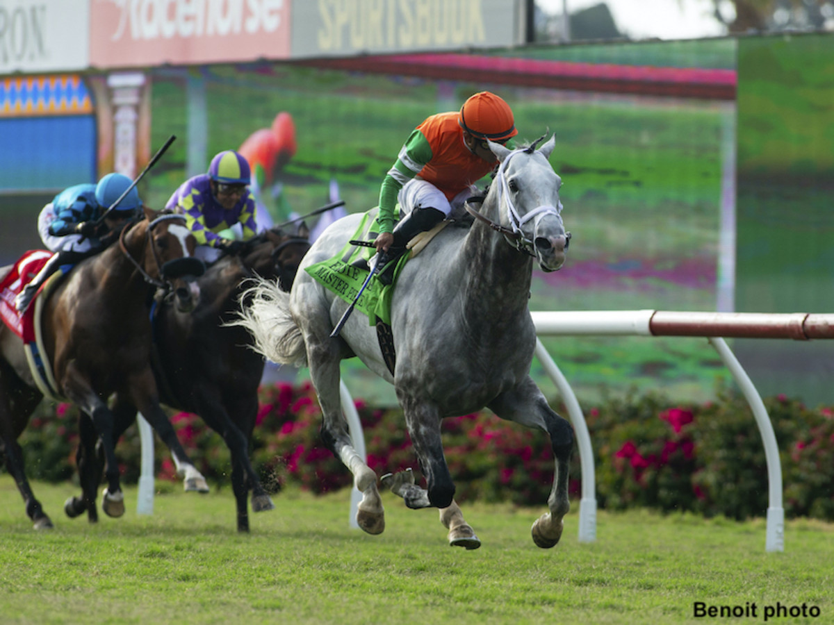 'Coming Off A Big Win': Master Piece To Head West, Seek Second Eddie ...