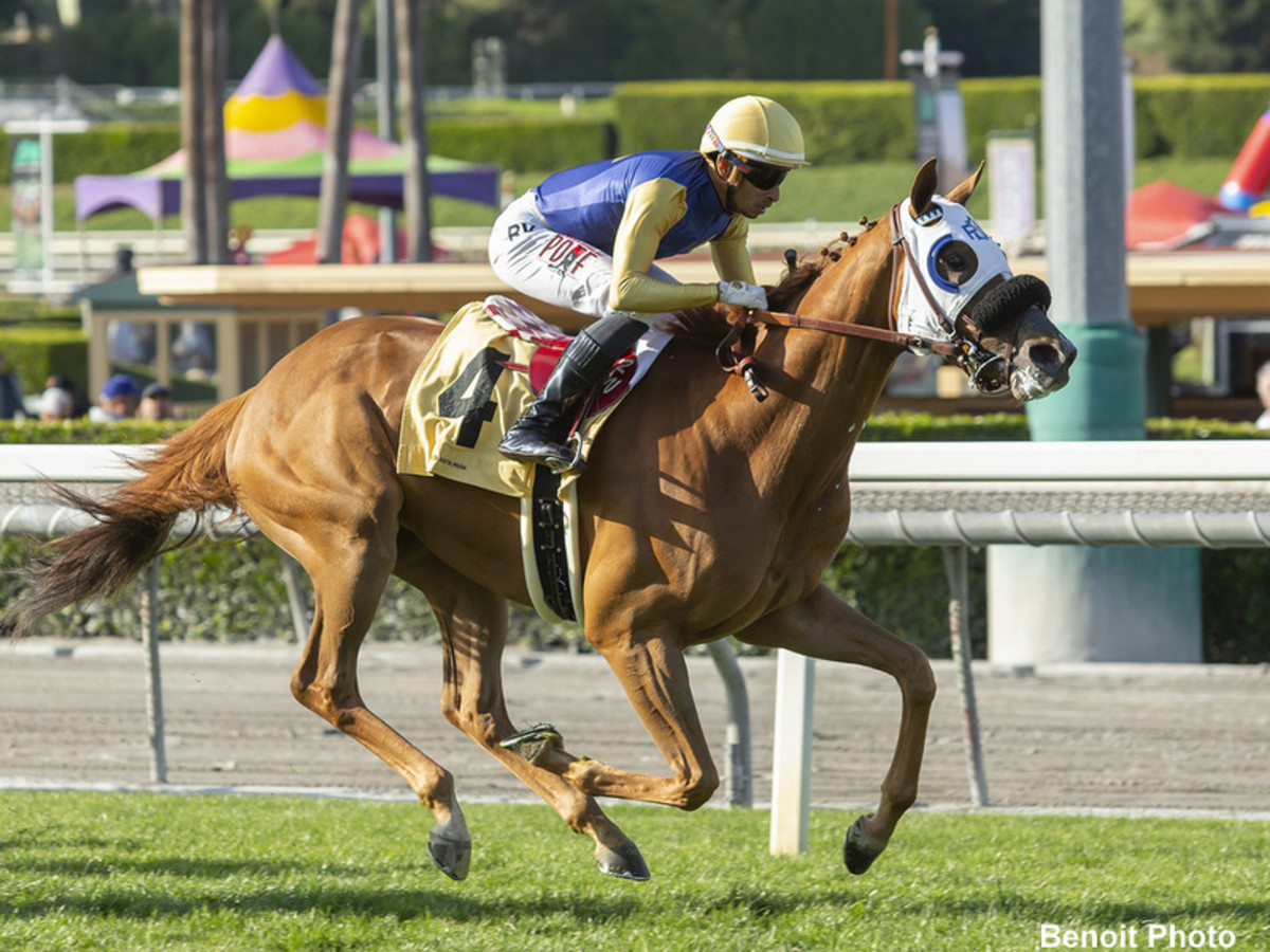 Hong Kong Harry Appears Horse To Beat In Sunday's American Stakes ...