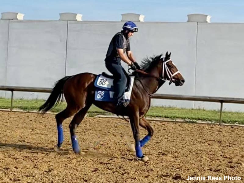 New Texas Thoroughbred Owner Landon Jordan Goes All In - Paulick Report ...