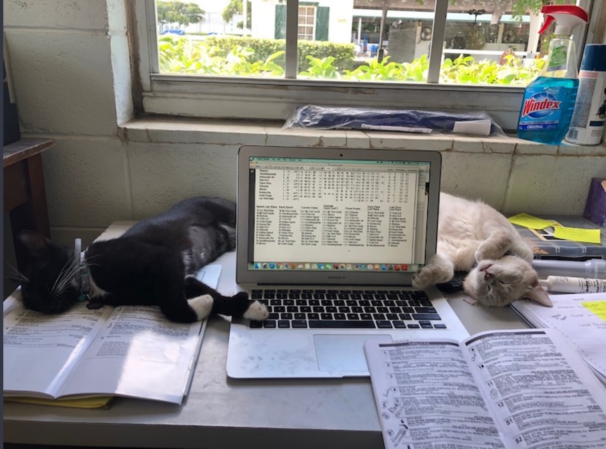 Barn Buddies Presented By Dapple Up: While Danner Travels The Country ...