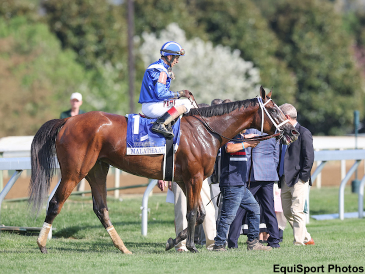 Returning Champion Malathaat Defeats Bonny South In Doubledogdare ...