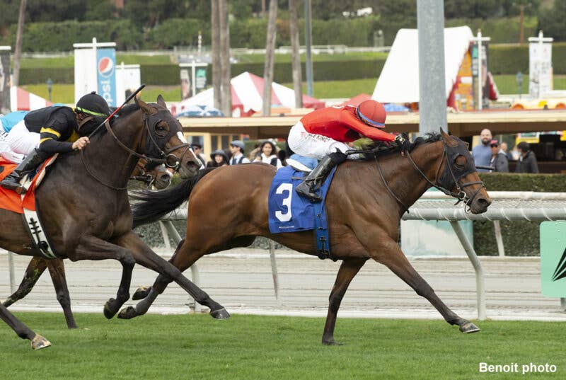 Hard-Knocking Dicey Mo Chara Heads Field Of Eight For Marathon San Luis ...