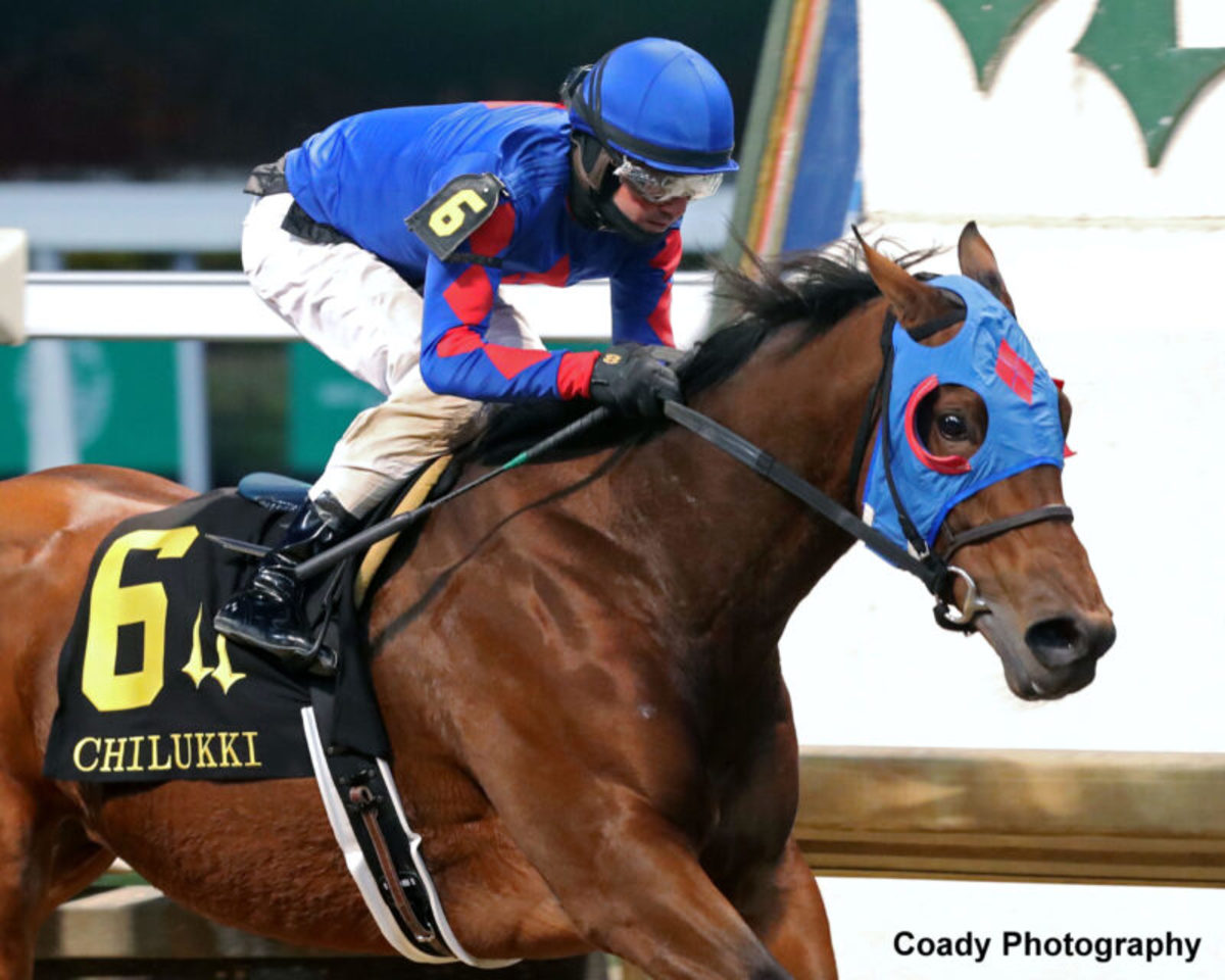 She Can't Sing In Chilukki: 6-Year-Old Mare Will Make Final Start ...