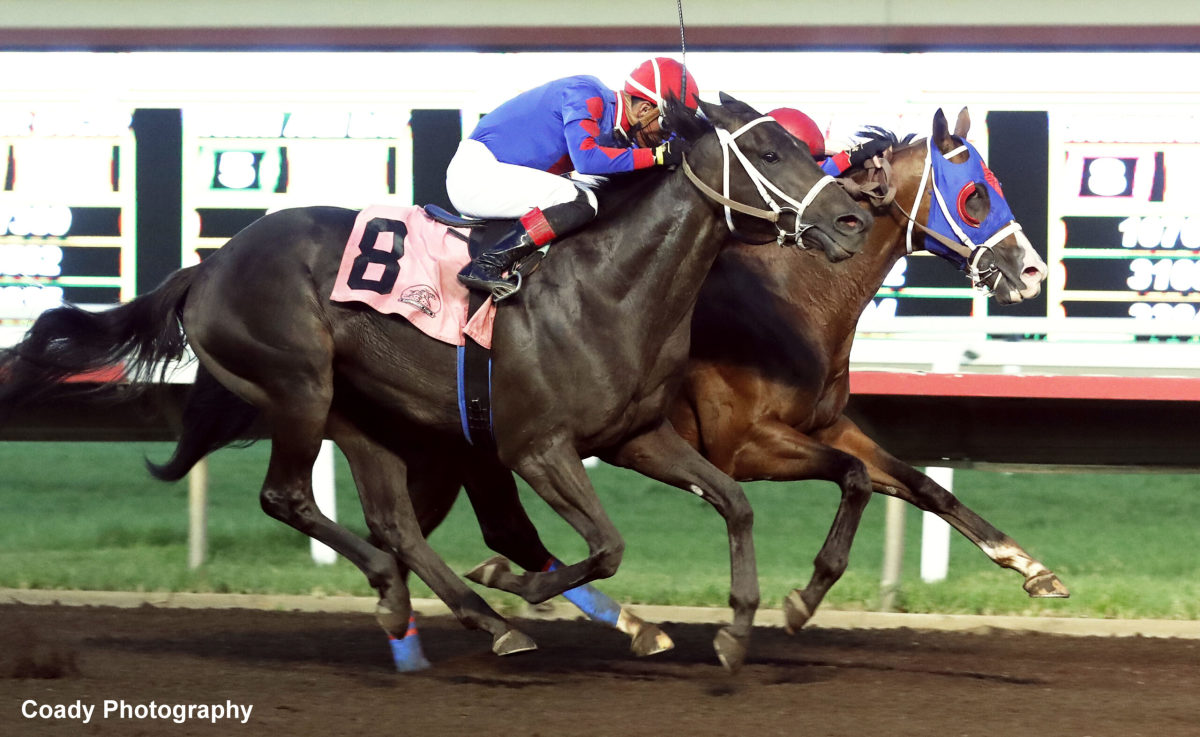Lothenbach Runners Finish 1-2 In Minnesota Derby, It’s Her Time Scores ...
